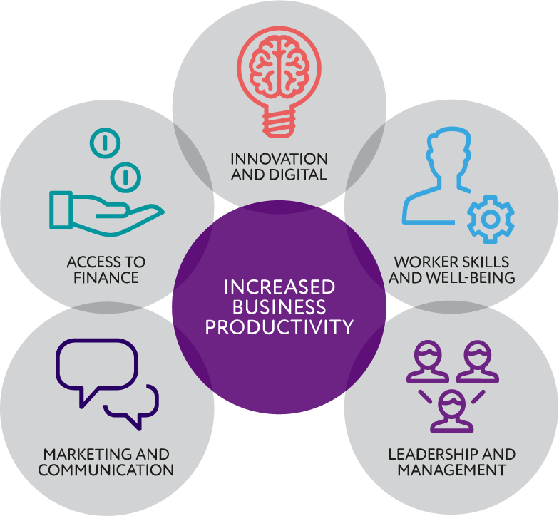 Business - The Productivity Institute