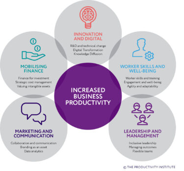 Making Productivity Strategic - The Productivity Institute